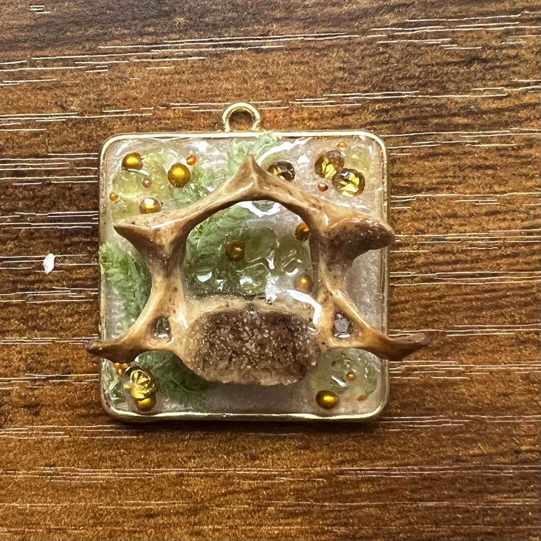 Porcupine Cervical Vertabrae Pendant With Resin Mica Bezel and Chipped ...