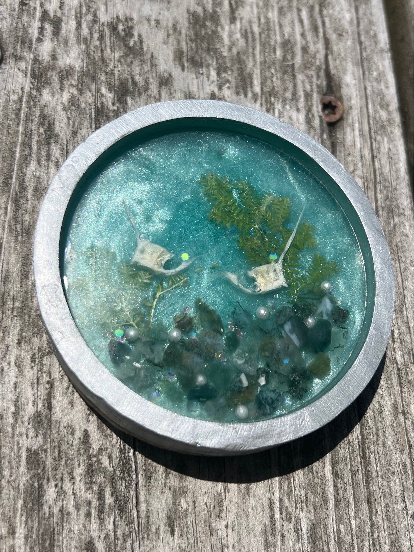 Fish Vertebrae Resin Jewelry / Trinket Dish With Blue Mica, Real Plants ...