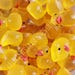 100 Duck Challenge Kit, Hide-a-duck Kit, Miniature Duck Scavenger Hunt ...