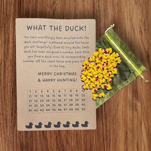 50 Pcs Christmas Duck Challenge Kit, Hide-a-duck Kit, Miniature Duck ...