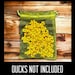 DIGITAL DOWNLOAD ONLY - 100 Duck Challenge Card, Hide-a-duck Card ...