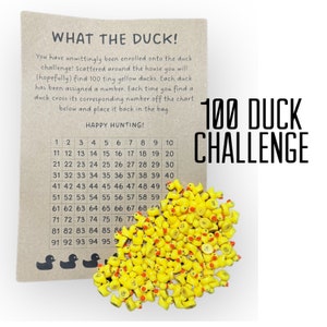 100 Duck Challenge Kit, Hide-a-duck Kit, Miniature Duck Scavenger Hunt ...