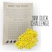 100 Duck Challenge Kit, Hide-a-duck Kit, Miniature Duck Scavenger Hunt ...