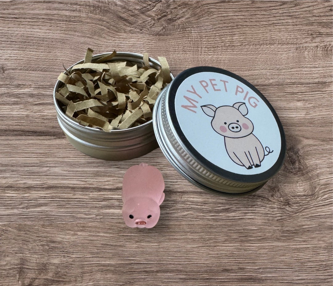Pig, Piggy, My Pet Pig in a Tin, 6 Random Designs, Mini Pet Pig, Resin ...