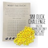 Duck Hunt, Duck Game, Hide and Seek - Etsy UK