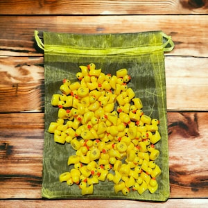 100 Duck Challenge Kit, Hide-a-duck Kit, Miniature Duck Scavenger Hunt ...