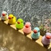 100 Duck Challenge Kit, Hide-a-duck Kit, Miniature Duck Scavenger Hunt ...
