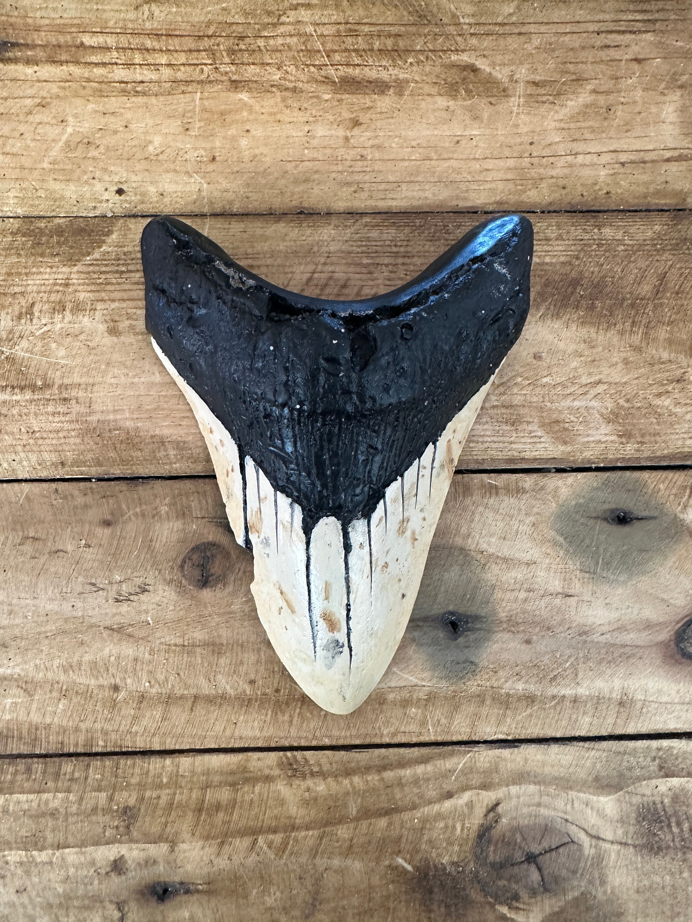 Majestic Resin Megalodon Tooth Replica 12cm X 9.5cm - Etsy