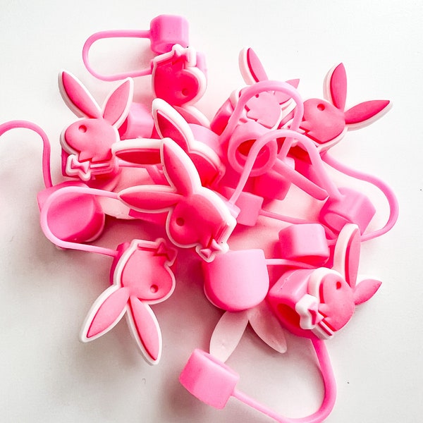 Pink Straws - Etsy