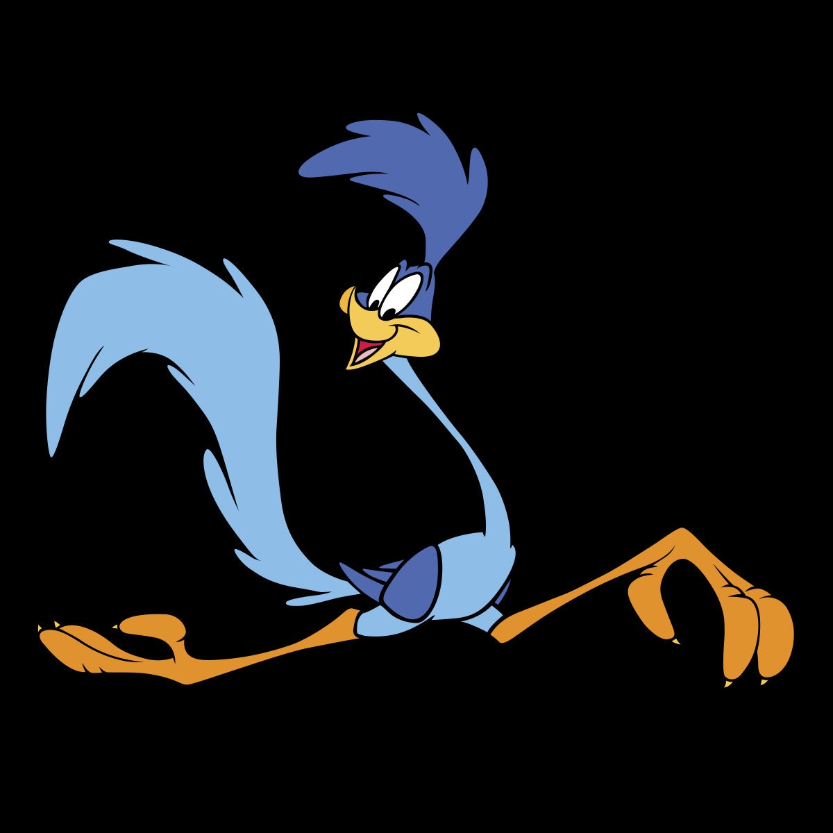 Road Runner Vinyl Decal Sticker Waterproof - Etsy