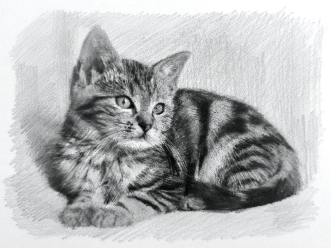 Kitten Drawing in A5 Format Made With a Pencil and a Dry Brush ...