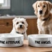 The Angel and the Attitude Double Dog Bowl Set of Two Dog Bowls Pet ...