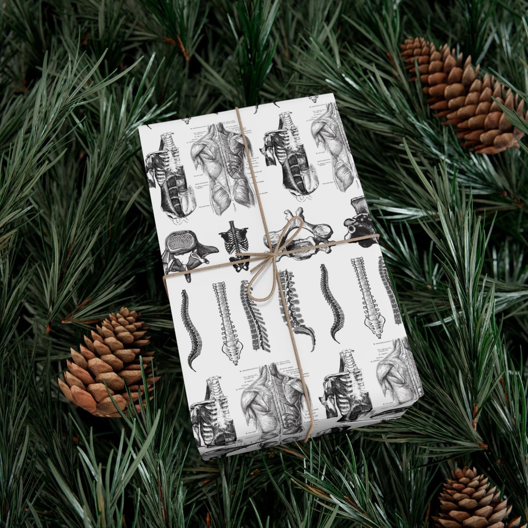 Vertebrae Wrapping Paper Vintage Anatomy Wrapping Paper for ...