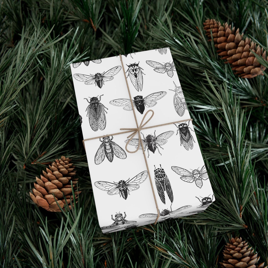 Cicada Wrapping Paper Cicada Gift Wrap Cicada Invasion Gift Cicada ...
