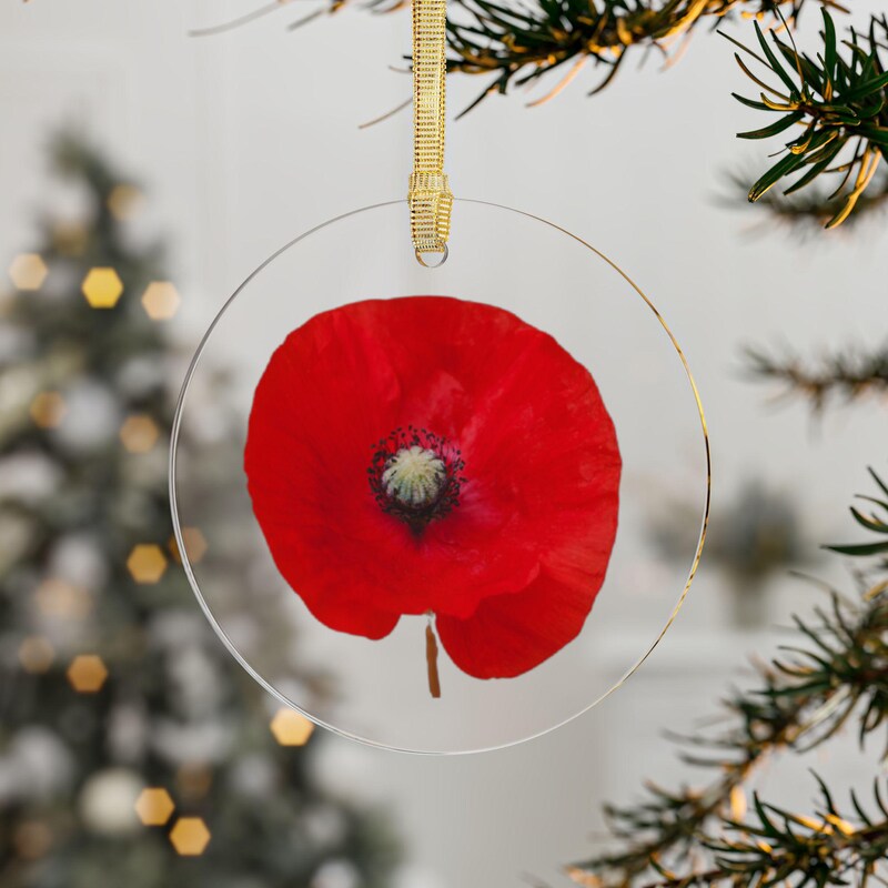 Acrylic Poppies - Etsy