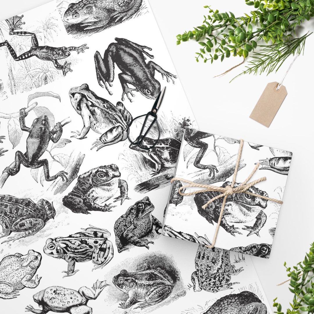 Vintage Frog Gift Wrap Black and White Frog Wrapping Paper Vintage Toad ...