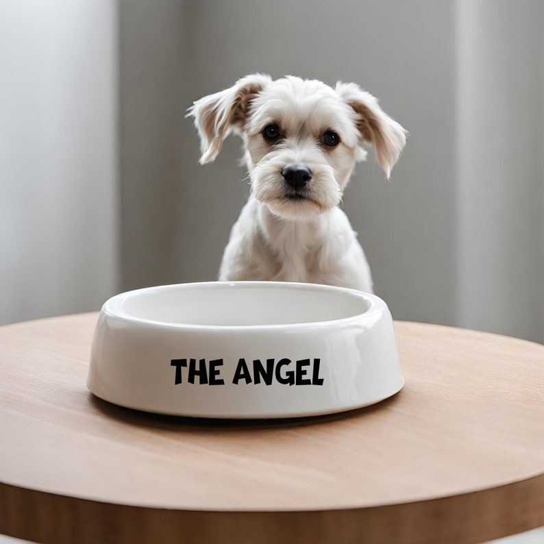 The Angel and the Attitude Double Dog Bowl Set of Two Dog Bowls Pet ...