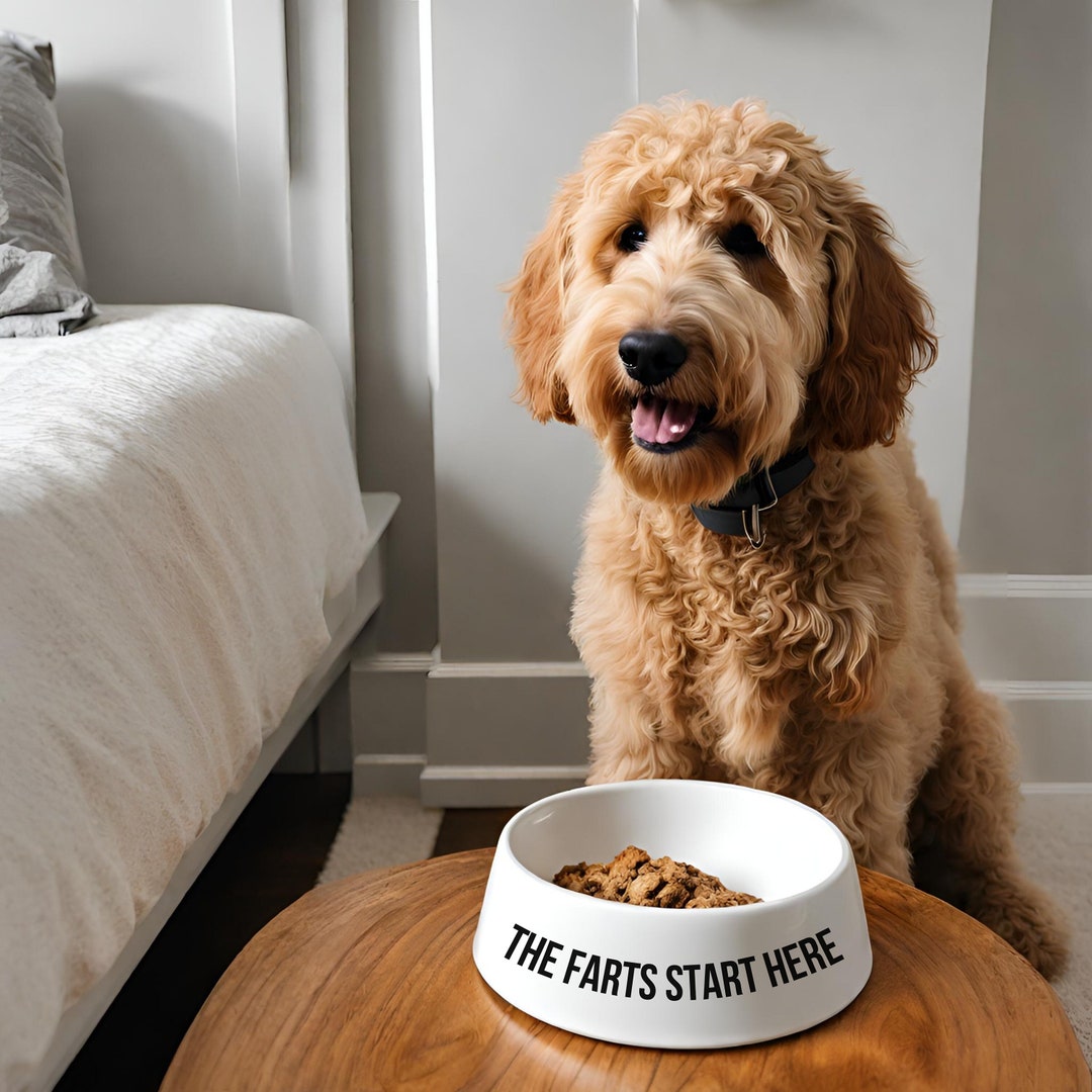 Funny Fart Pet Bowl Funny Dog Bowl Custom Dog Bowl Funny Pet Bowl ...
