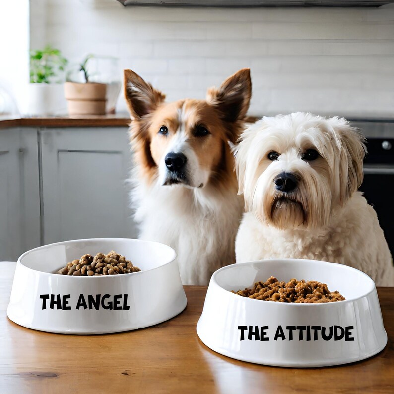 The Angel and the Attitude Double Dog Bowl Set of Two Dog Bowls Pet ...