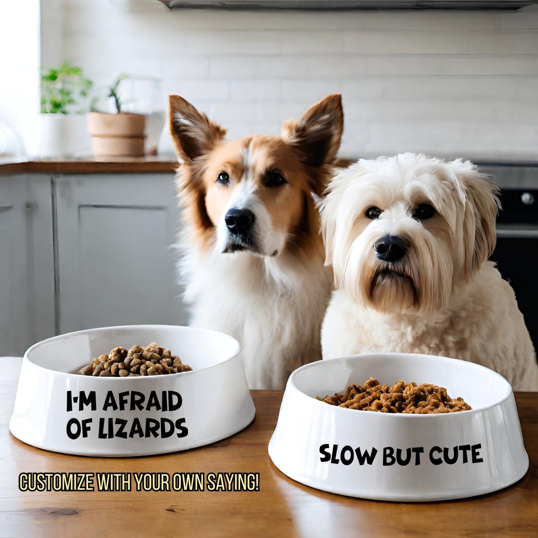 Dog Confession Bowl Personalized Dog Bowl Funny Custom Dog Bowl ...