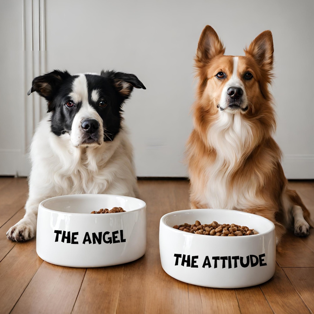 The Angel and the Attitude Double Dog Bowl Set of Two Dog Bowls Pet ...