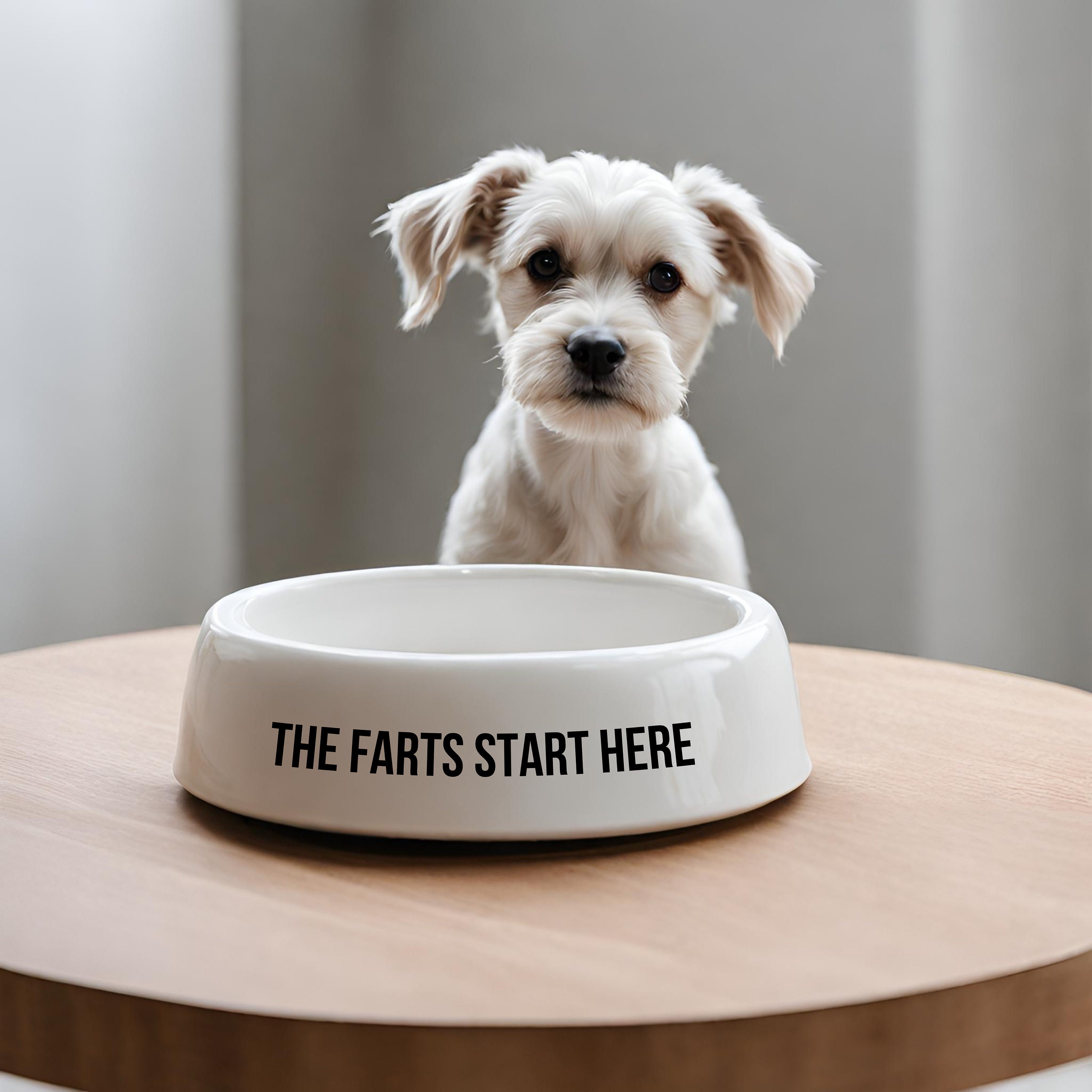 Funny Fart Pet Bowl Funny Dog Bowl Custom Dog Bowl Funny Pet Bowl ...