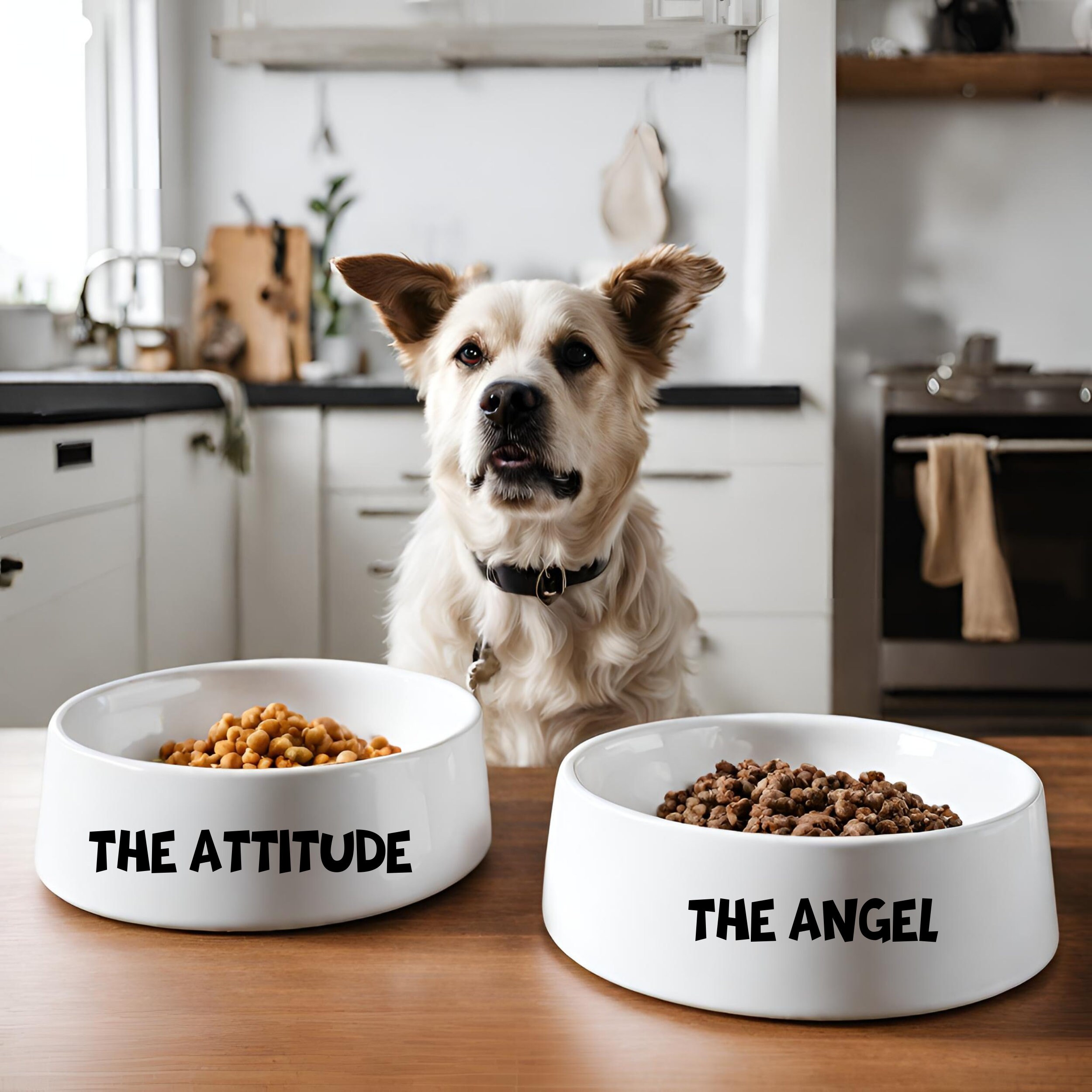 The Angel and the Attitude Double Dog Bowl Set of Two Dog Bowls Pet ...