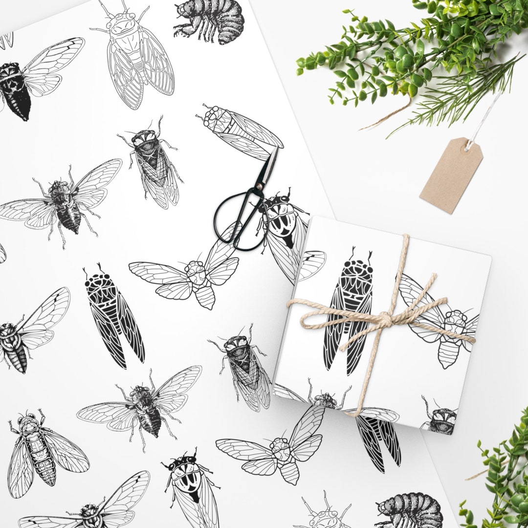Cicada Wrapping Paper Cicada Gift Wrap Cicada Invasion Gift Cicada ...
