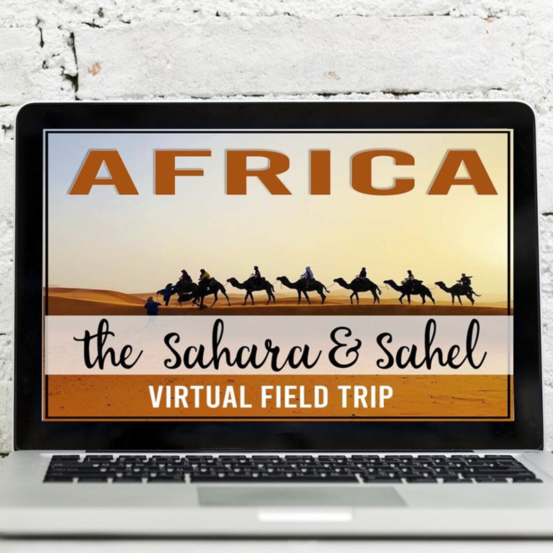 Africa Virtual Field Trip, Sahara Desert, Sahel, Geography Activity ...