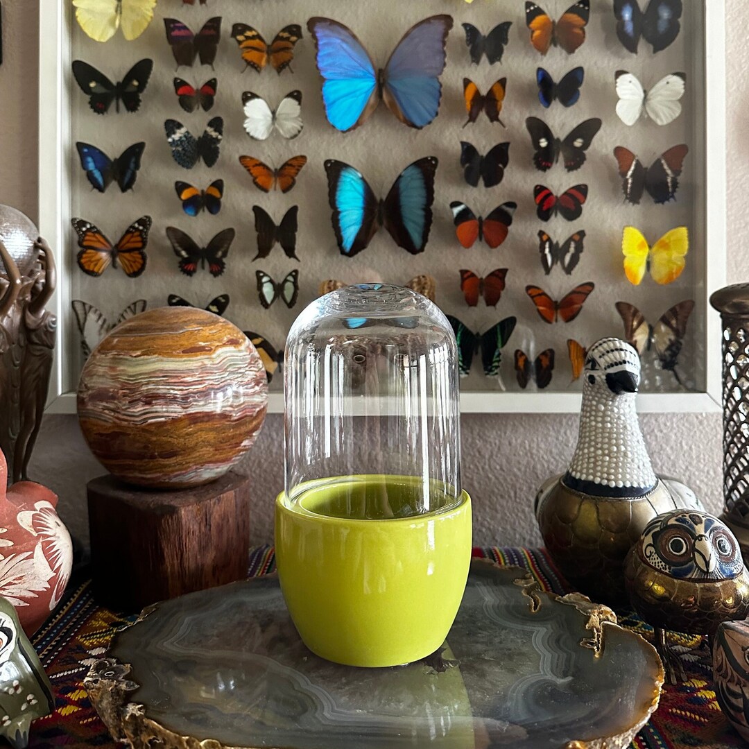 Green Pill Terrarium Planter - Etsy