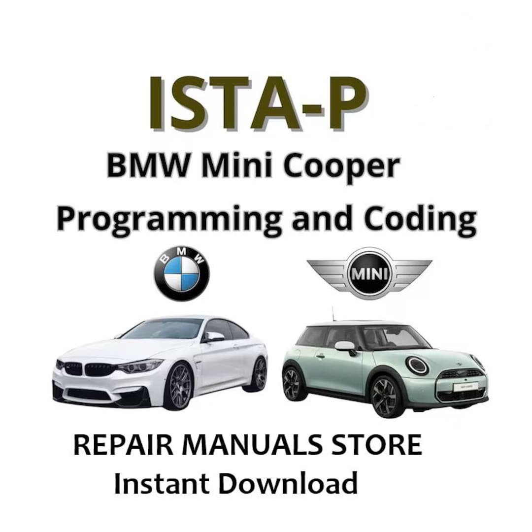ISTA P BMW Mini Cooper ECU Coding Software Professional Mechanics Programming Tool - Etsy