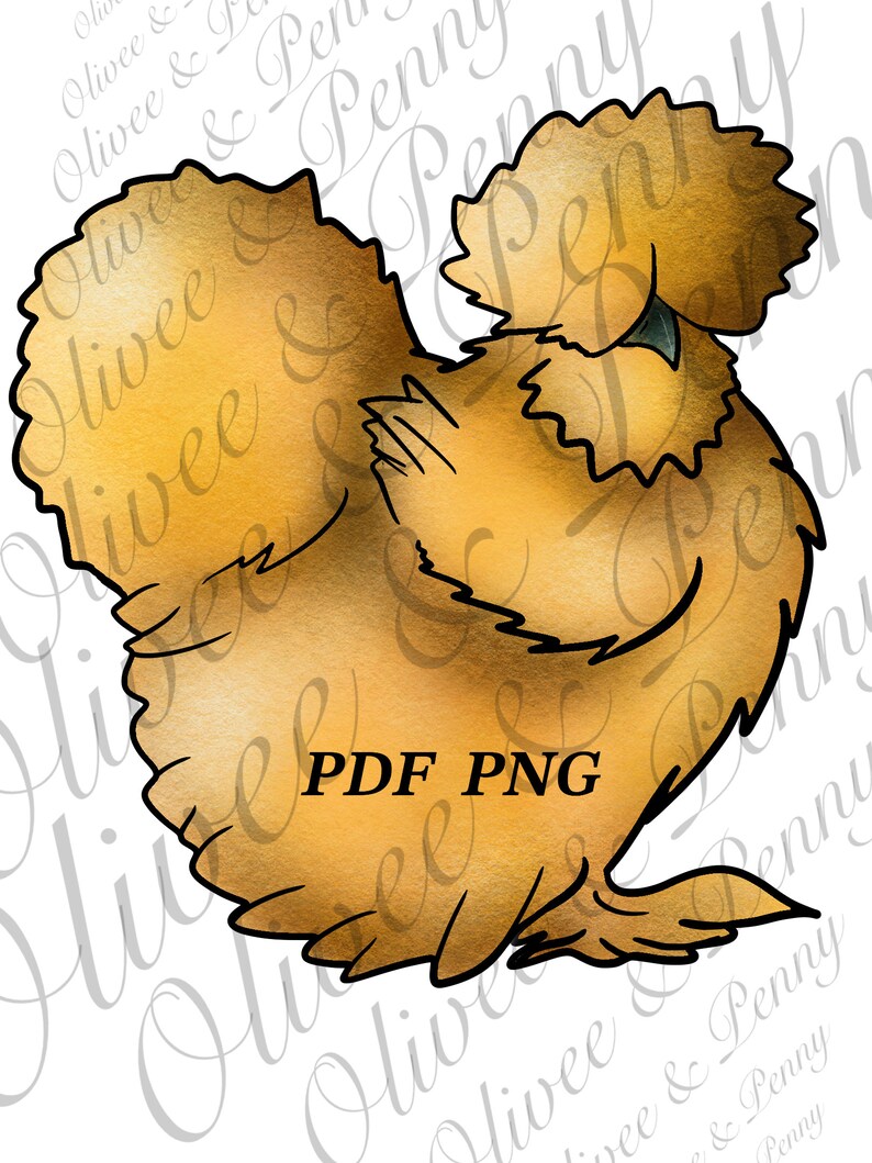 Buff Silkie Hen Drawing and Outline - Etsy