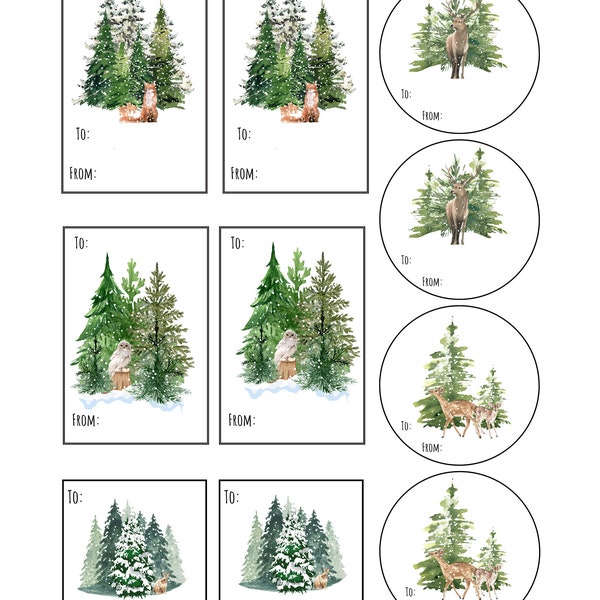 Cute Woodland Animals Kids Valentine Cards, Digital Printable, 8 ...