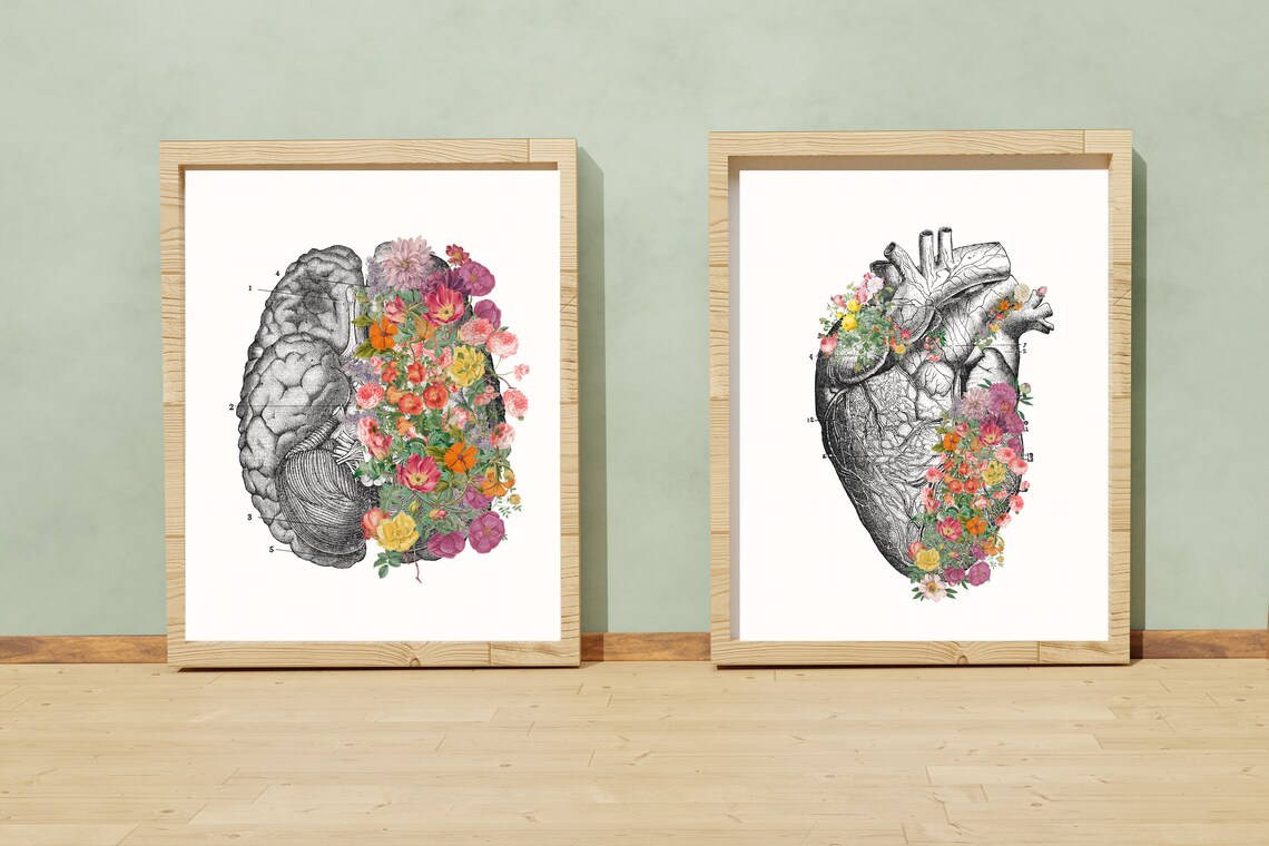 Human Anatomy Art Prints, Set of 2, Vintage Medical Wall Art, Doctor ...