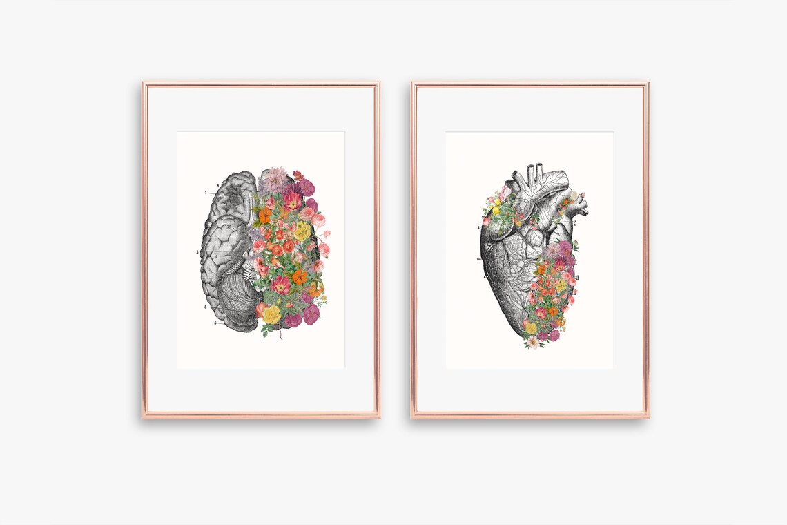 Human Anatomy Art Prints, Set of 2, Vintage Medical Wall Art, Doctor ...