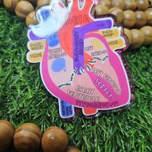 Anatomical Labeled Heart Keychain – Glittered - Etsy