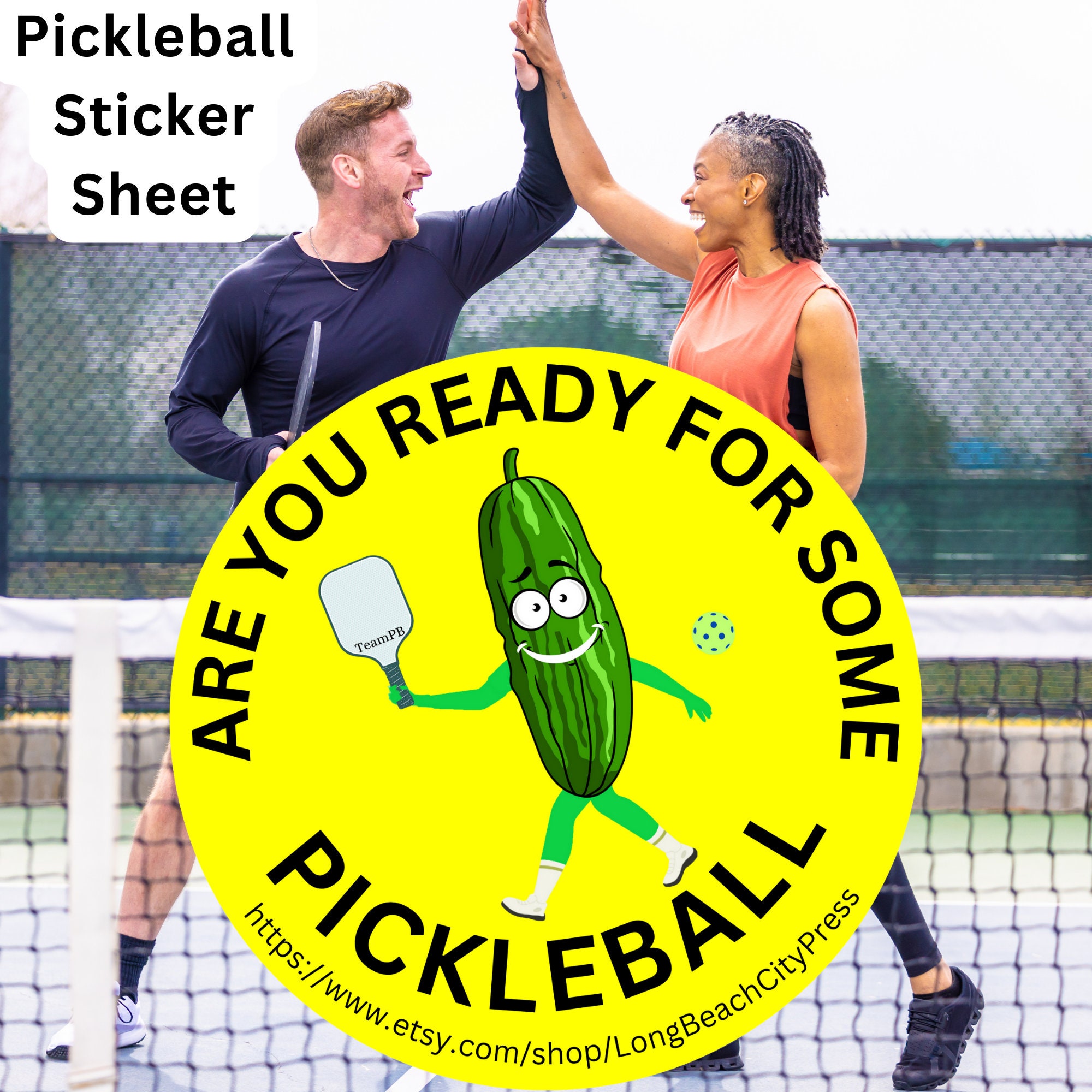 Pickleball Stickers Pickleball Laptop Phone Stickers Sticker Sheet for ...