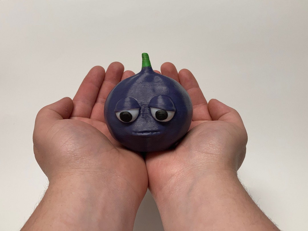 The Fig From Jack Stauber's Cooking With Abigail - Etsy