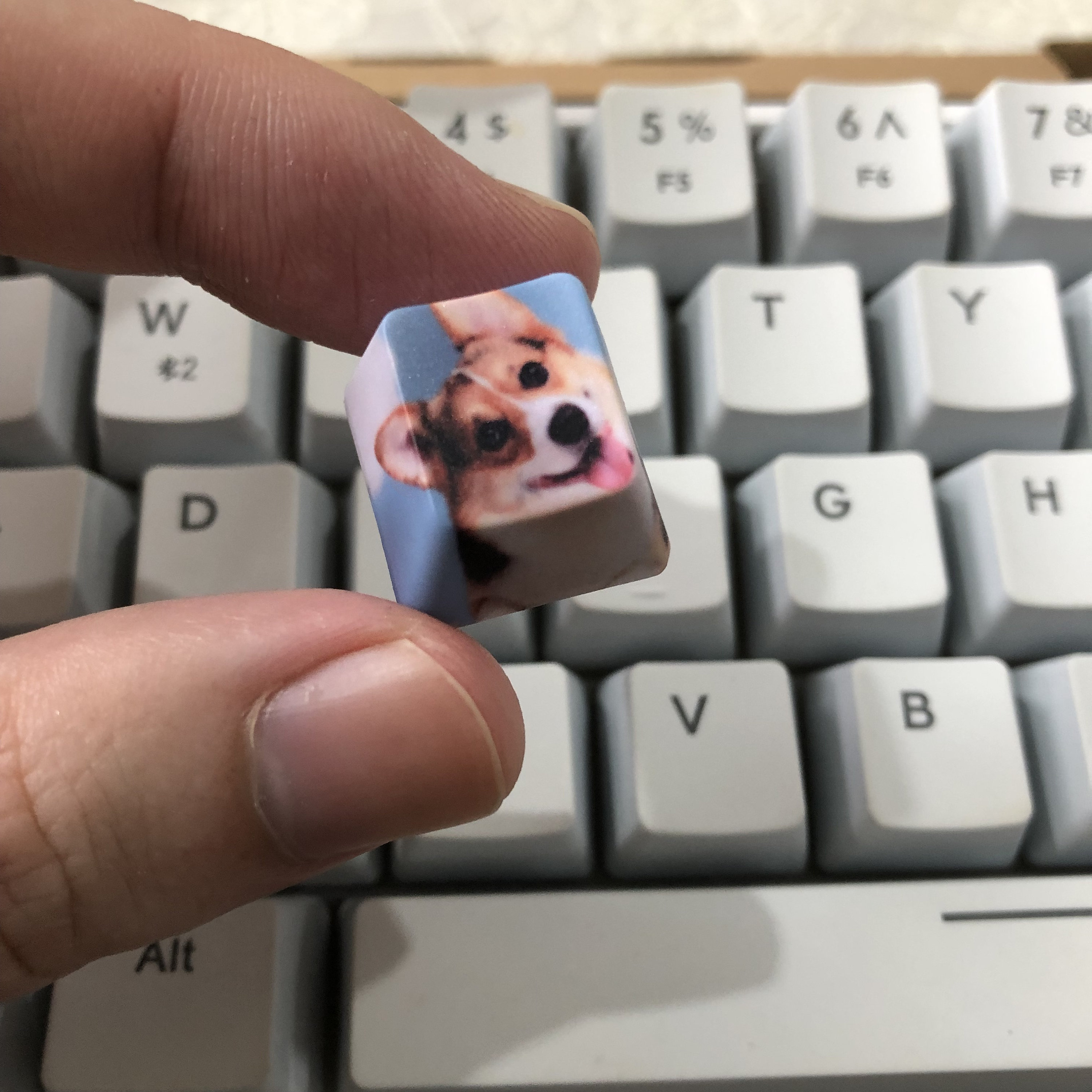 Pets Custom Keycaps,custom PBT Keycaps Print Your Image or Text,custom ...