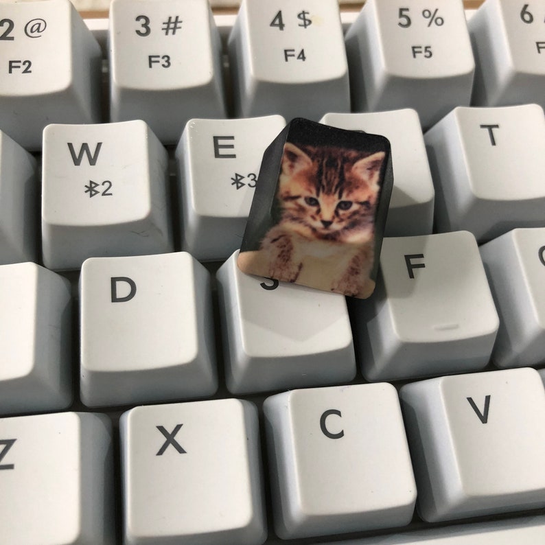 Pets Custom Keycaps,custom PBT Keycaps Print Your Image or Text,custom ...