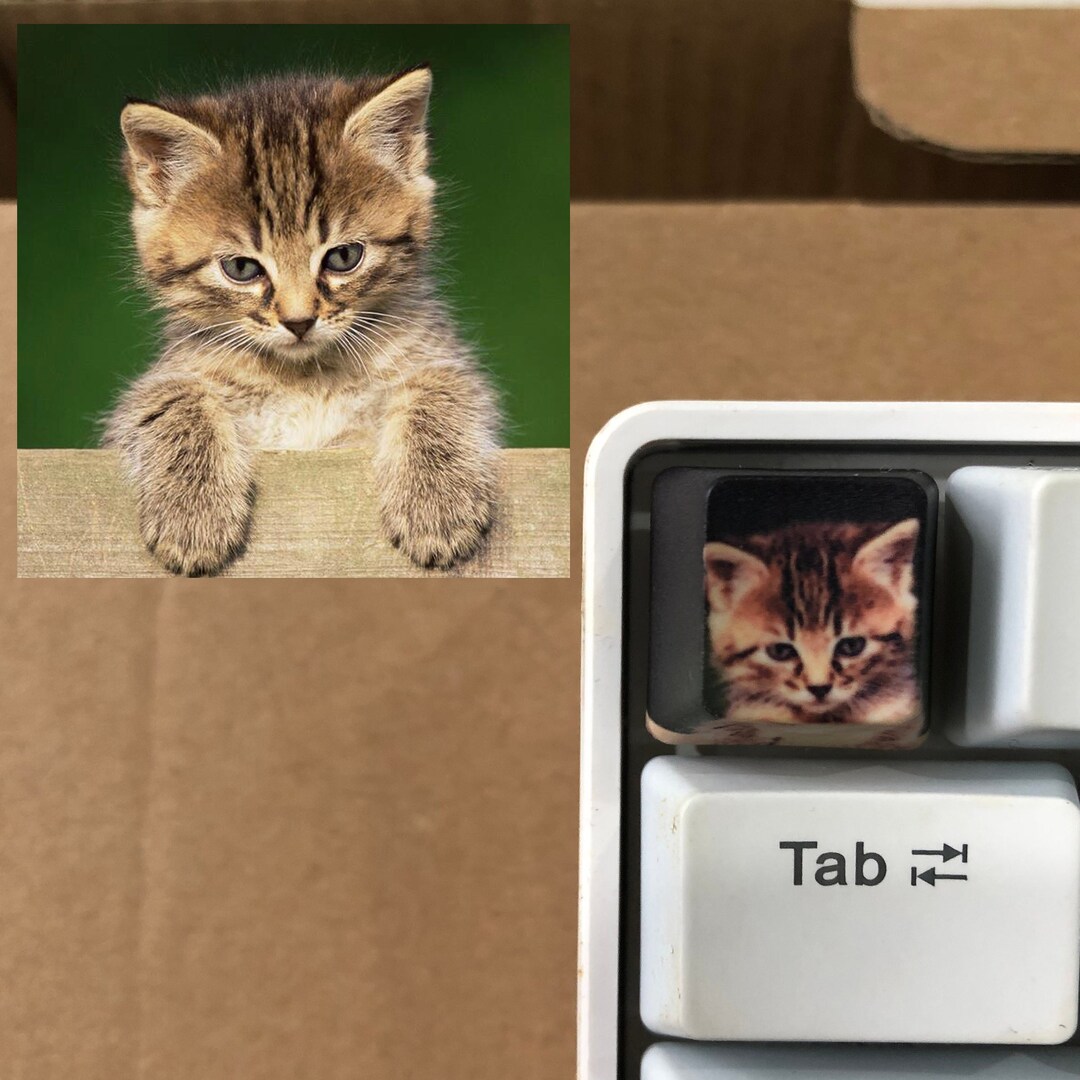Pets Custom Keycaps,custom PBT Keycaps Print Your Image or Text,custom ...