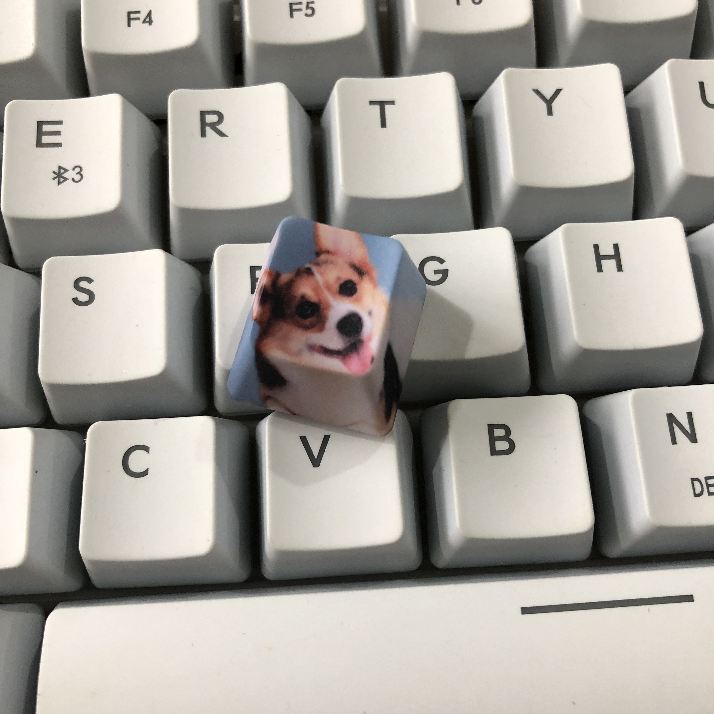 Pets Custom Keycaps,custom PBT Keycaps Print Your Image or Text,custom ...