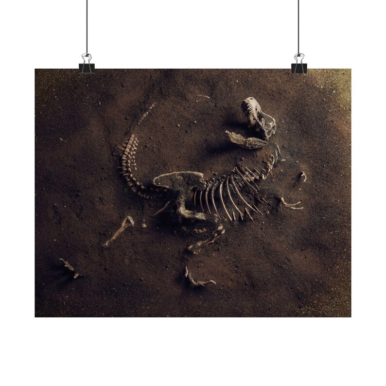 Dinosaur Fossil Skeleton Poster | Matte Horizontal Paleontology Wall ...