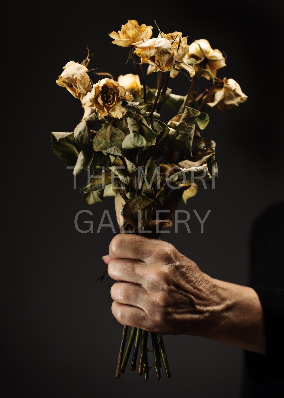 Hand Holding Dead Roses Photo Print Death Art Picture Decor Memento ...