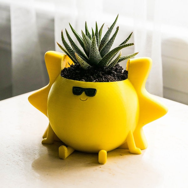 Unique Planter - Etsy