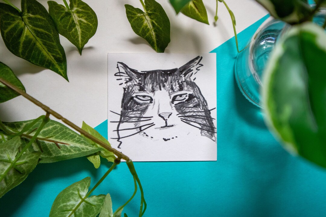 Mini Hand Drawn Cat Portrait: Quincy | Pencil + Marker | Gift for Cat ...