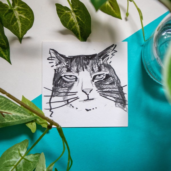 Cat Drawing - Etsy