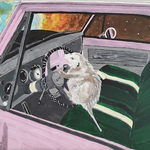 Joyride, Opossum in a Car in Space, 11x14 Art Print, Gloss - Etsy