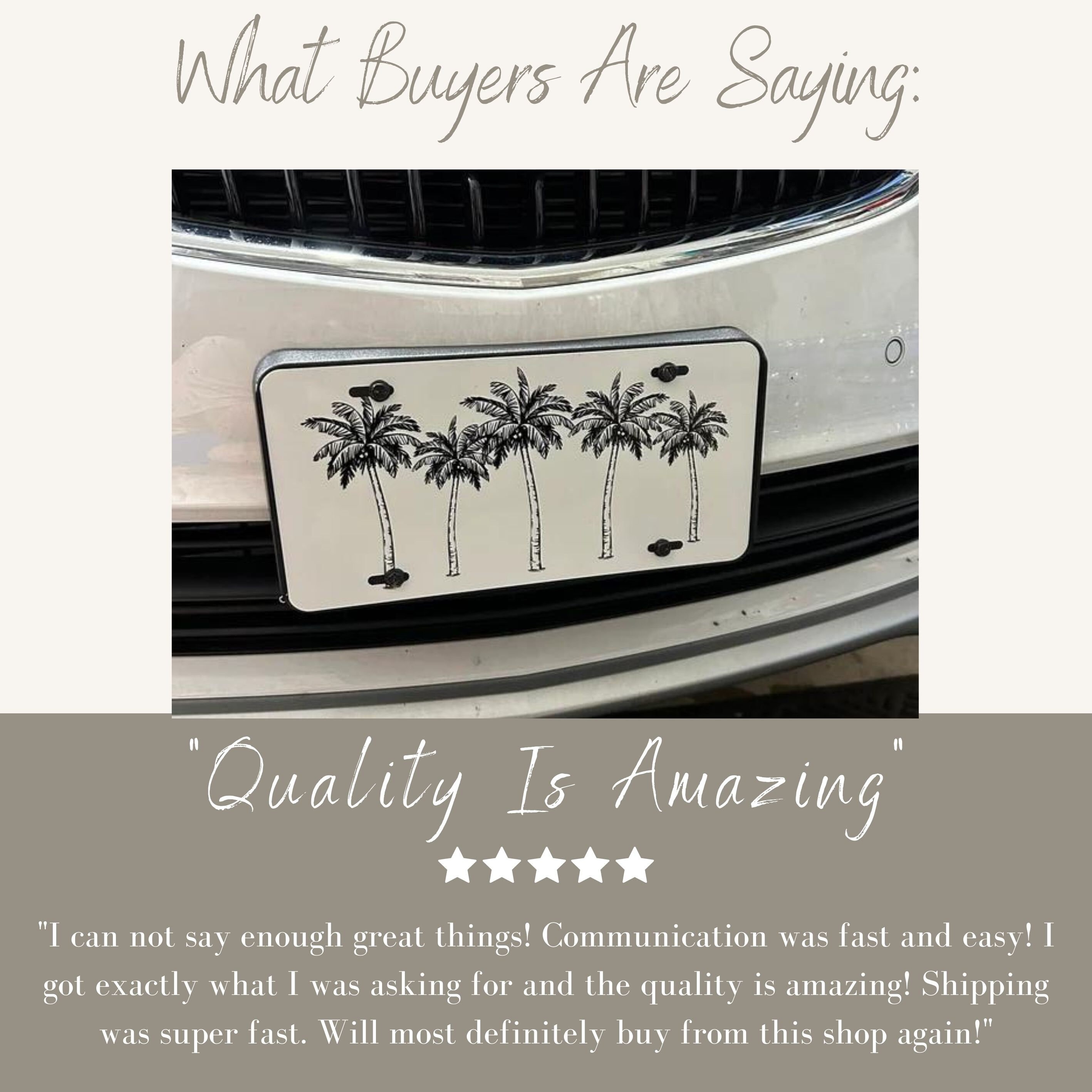 Palm Tree License Plate, Coastal License Plate, Beach Front License ...