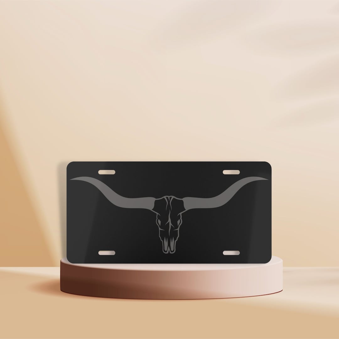 Western License Plate, Guys License Plate, Long Horn Accessory, Boho ...